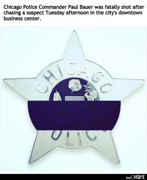 Beautiful Brave Police Tribute Photos Heroes of This Blue Line Photos