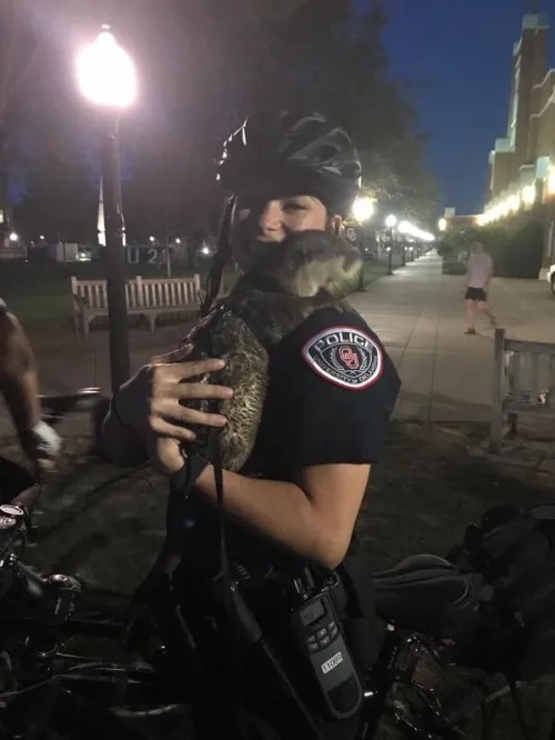 Beautiful Brave Police Tribute Photos Heroes of This Blue Line Photos