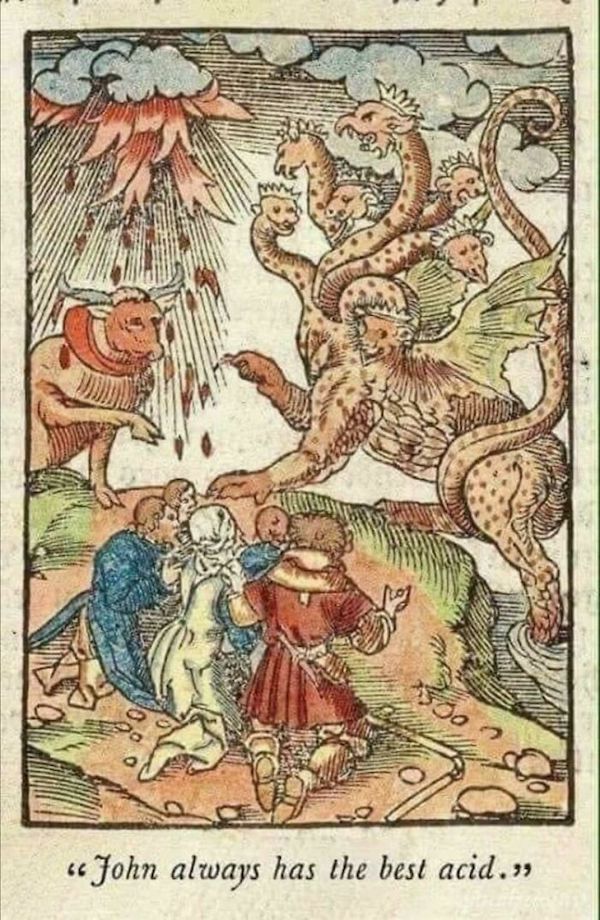 The wenches go crazy for these medieval memes