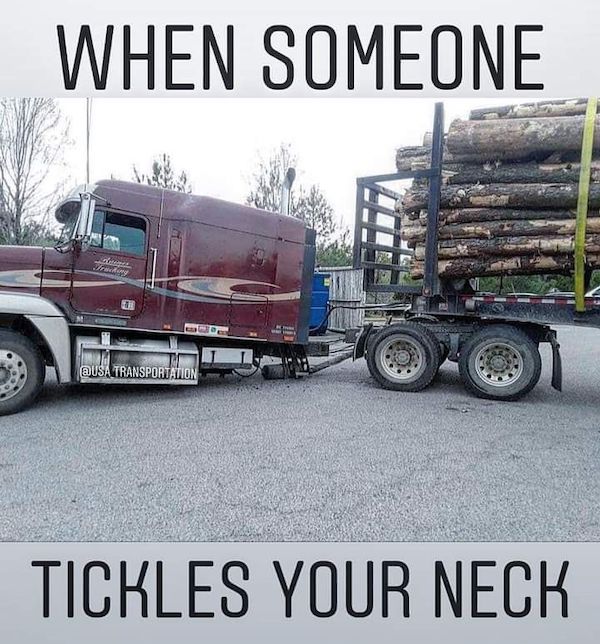 Mind-LESS Memes Stupid Funny Logic Photo Caption 2023 New WTF Pictures