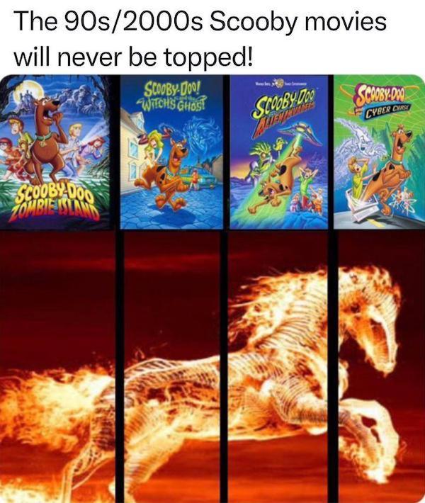 Beer-a-FULL Memes Funny Drinking Weekend Pics Stupid Wis-DUMB Thoughts