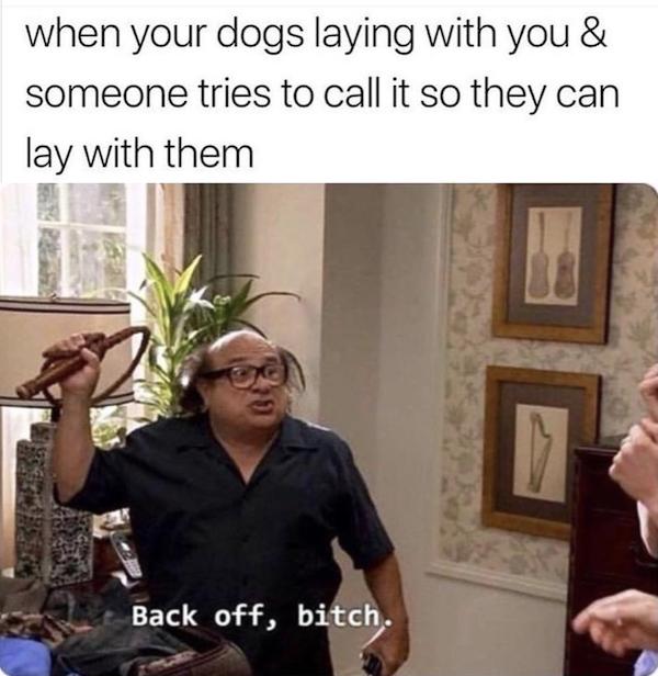 Cheesy Memes Funny Tuesday Work Sucks Photo Captions Best New List