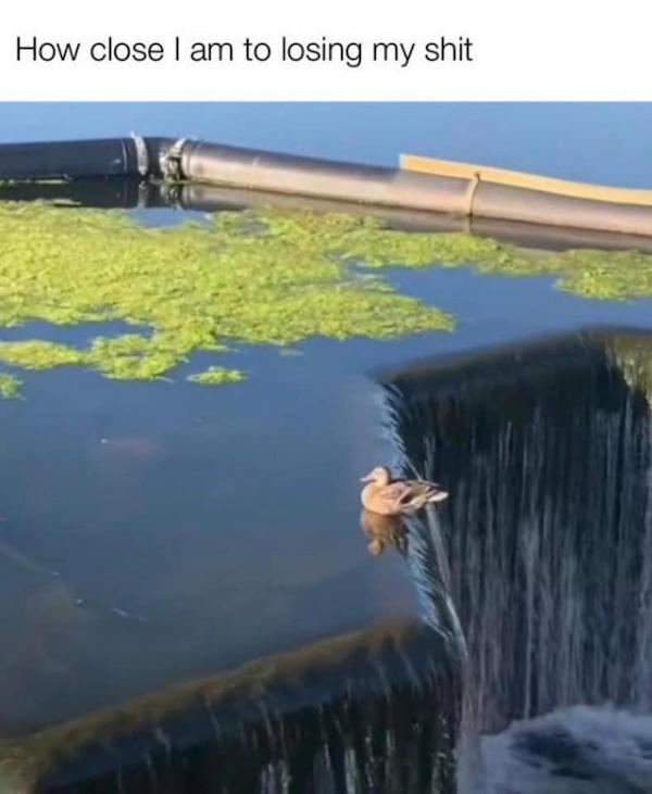 Cheesy Memes Funny Tuesday Work Sucks Photo Captions Best New List