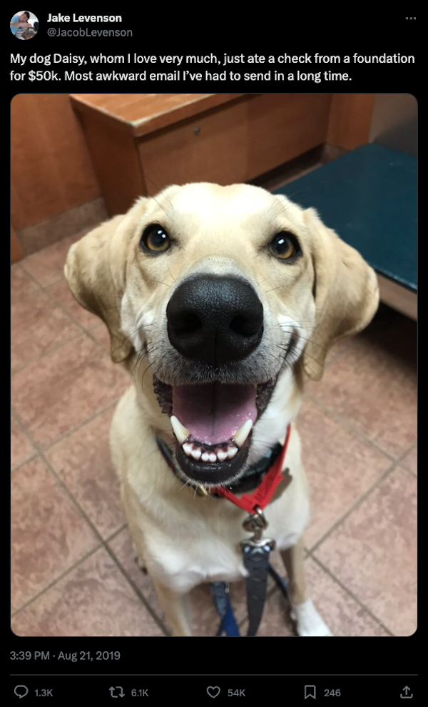 Dogs: Our adorable harbingers of destruction