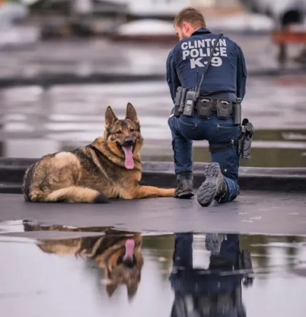 Beautiful Brave Police Tribute Photos Heroes of This Blue Line Photos