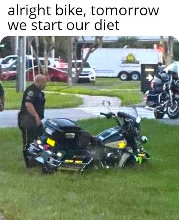 Mind-LESS Memes Best Stupid Funny Logic Photo Caption 2023 New Picture