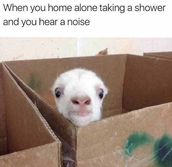 Mind-LESS Memes Stupid Funny Logic Photo Caption 2023 New WTF Pictures