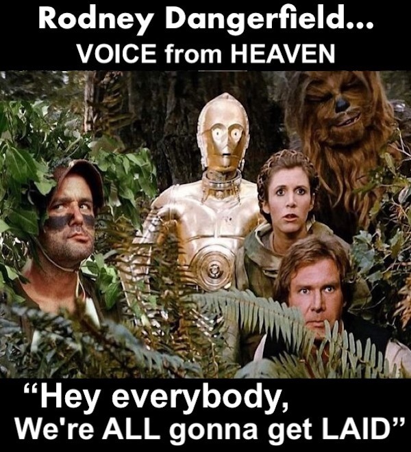 PG-13 Memes Funny and Dirty Minded but still SFW Photo Captions 2023