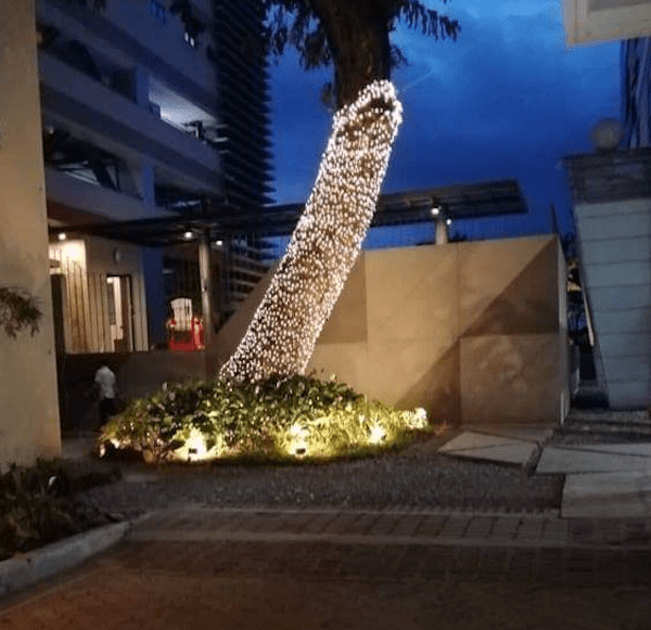 Merry d*ckmas - Phallic Christmas decorations for dirty minds