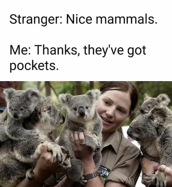 "That's Technically Science" Memes