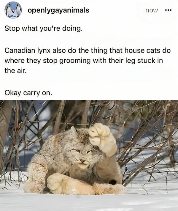 "That's Technically Science" Memes