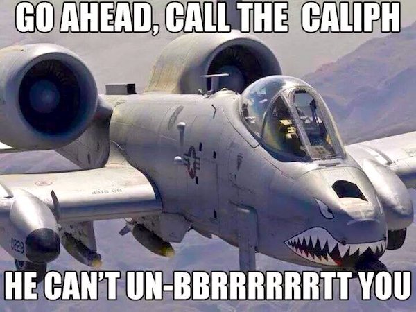 A-10 Memes Warthog Wednesday Fire Brrrrtt GAU-8 Gun Thunderbolt ii