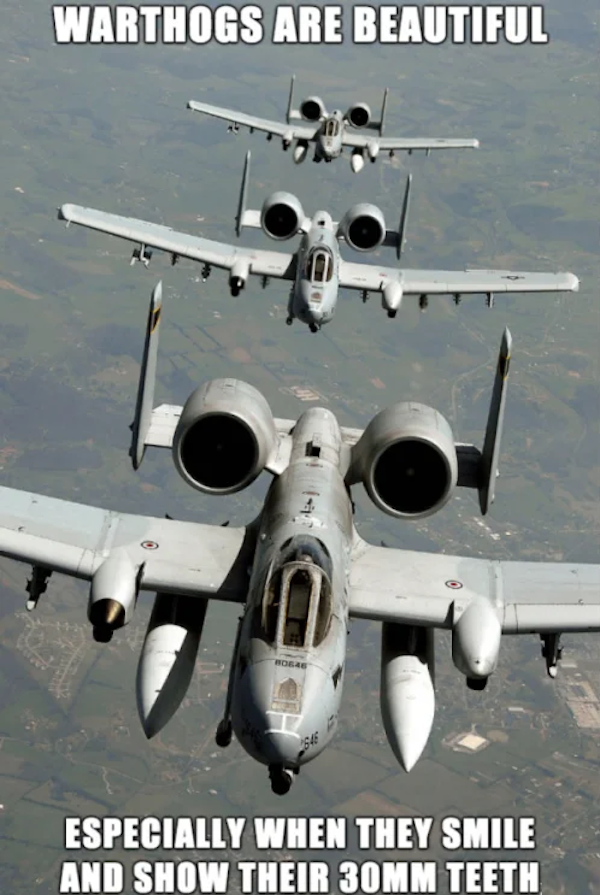 A-10 Memes Warthog Wednesday Fire Brrrrtt GAU-8 Gun Thunderbolt ii