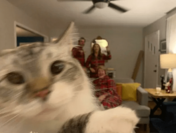 Christmas fails worse than coal in your stocking (32 Photos)