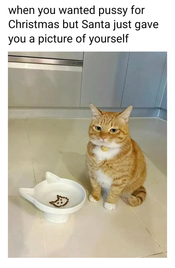 Dank Memes Are a Hoot