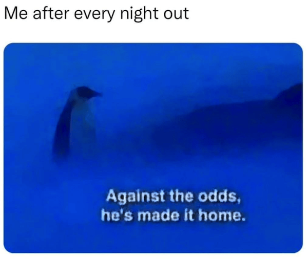 Hungover? Look at these memes, quietly. And in the dark...