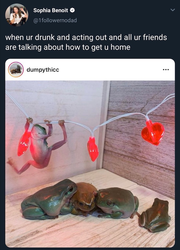 Hungover? Look at these memes, quietly. And in the dark...