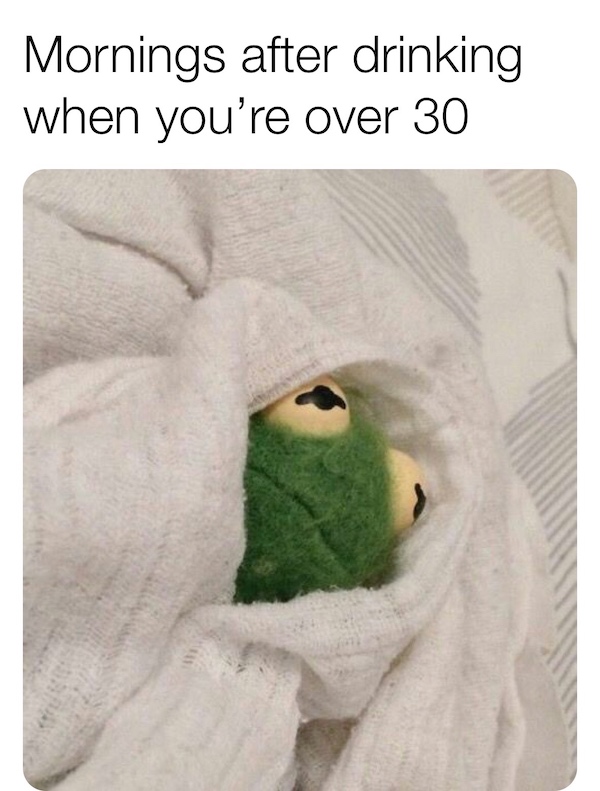 Hungover? Look at these memes, quietly. And in the dark...