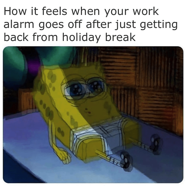 Hungover? Look at these memes, quietly. And in the dark...