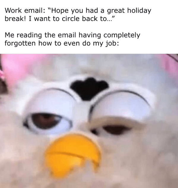 Hungover? Look at these memes, quietly. And in the dark...