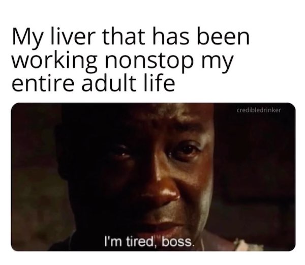 Hungover? Look at these memes, quietly. And in the dark...