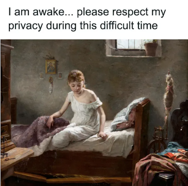 Cancel all your plans for these introvert memes (30 Photos)