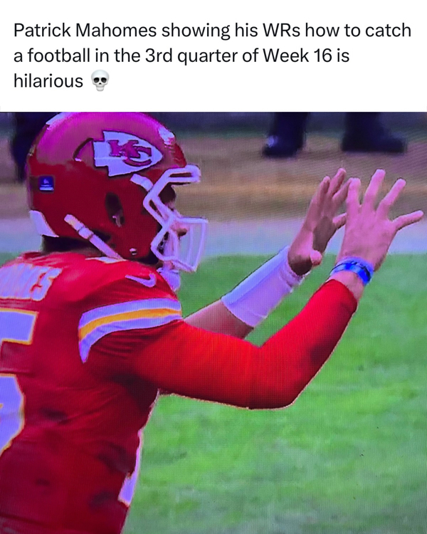 Christmas leftovers with a side of leather bound memes from Week 16