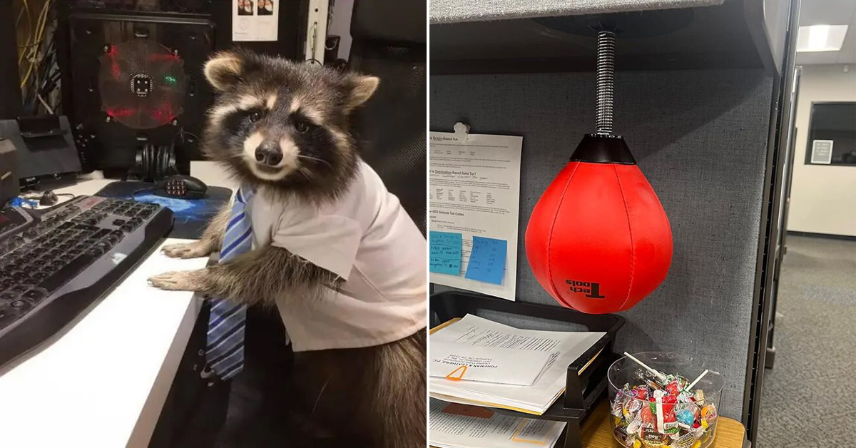 Funny work-related images that will make us all smile