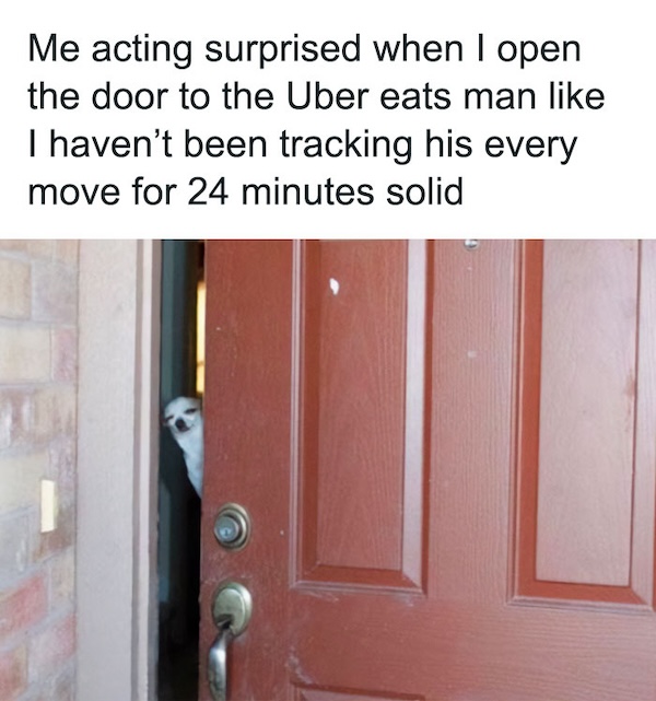 These accurate memes hit a little too close to home