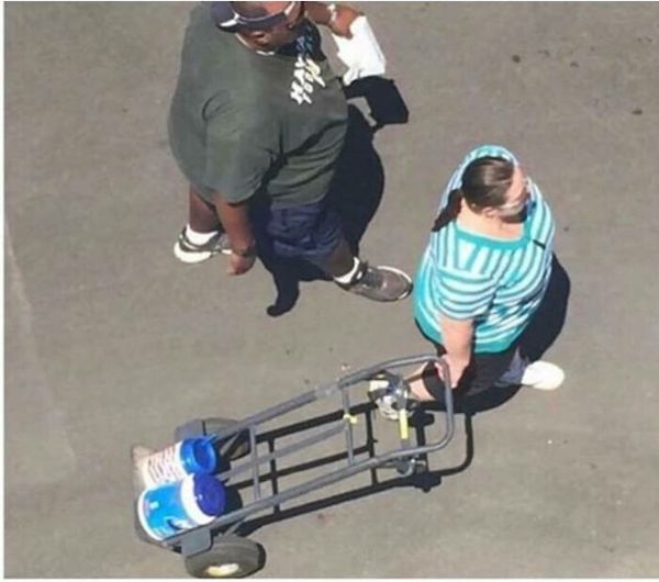 Car show oddities and funny delights