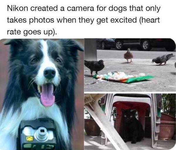 Cheesy Memes Funny Tuesday Morning Too True Work Sucks Photo Captions