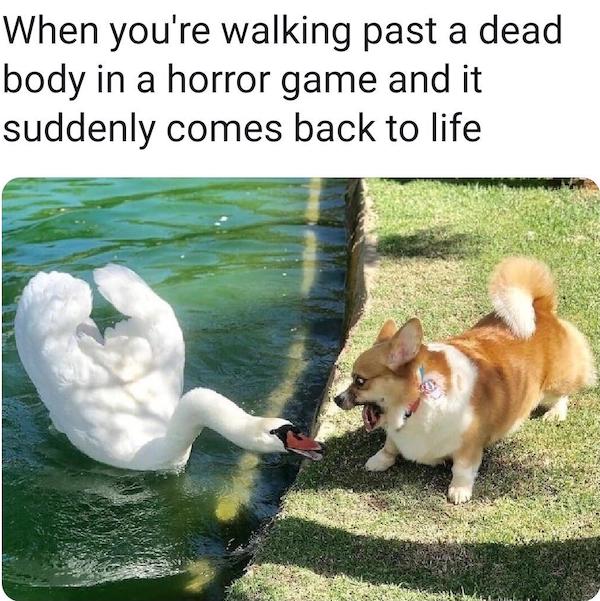 Cheesy Memes Funny Morning Best 2024 Photo Captions