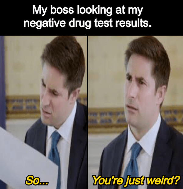 Cheesy Memes Funny Monday Morning Photo Captions Best New 2024 Picture