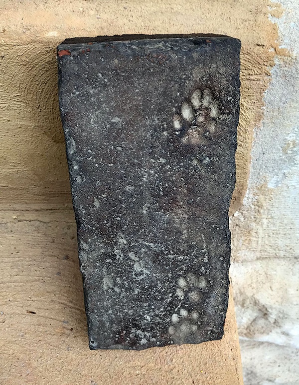 Old houses where people unearthed hidden treasures