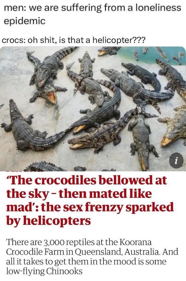 Mind-LESS Memes Best Stupid Hump Day Funny Logic Photo Captions