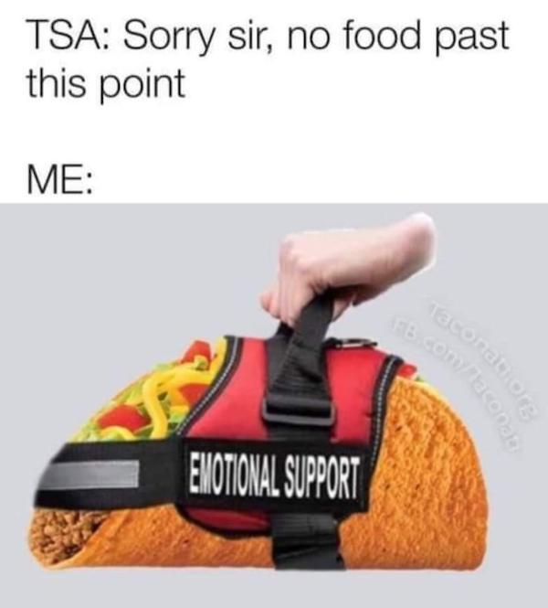 Mind-LESS Memes Best Stupid Hump Day Funny Logic Photo Captions