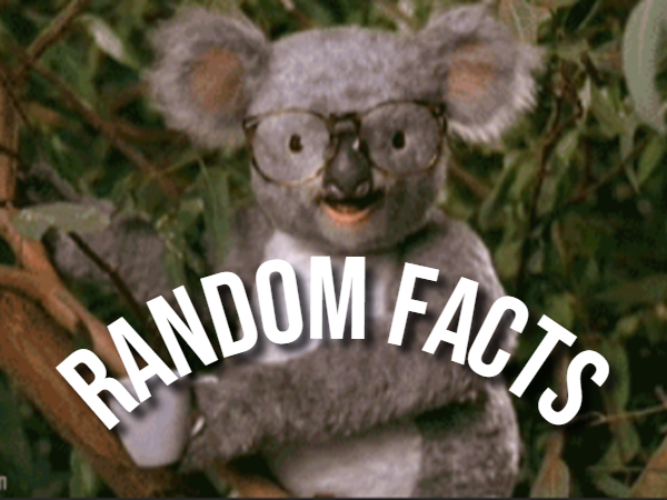 Random Facts Are Always Welcome