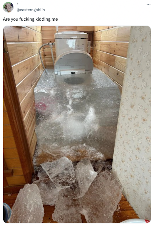 That's the funniest freakin' thing I've seen all week (32 Photos)