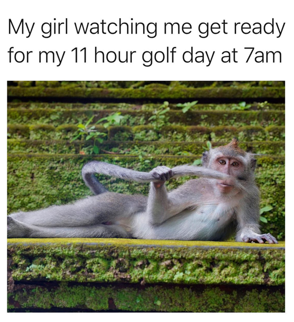 Golf memes to hold you off until the season starts