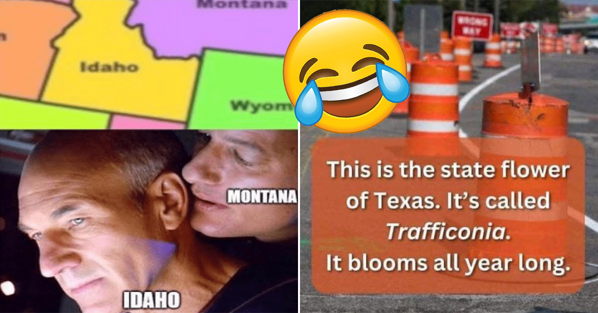 Funny Memes | The Funniest and Most Hilarious Memes Ever - theCHIVE