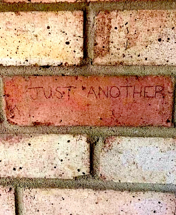 NAILed IT Memes Stupid yet Funny Photo Captions are Too TRUE Best 2024