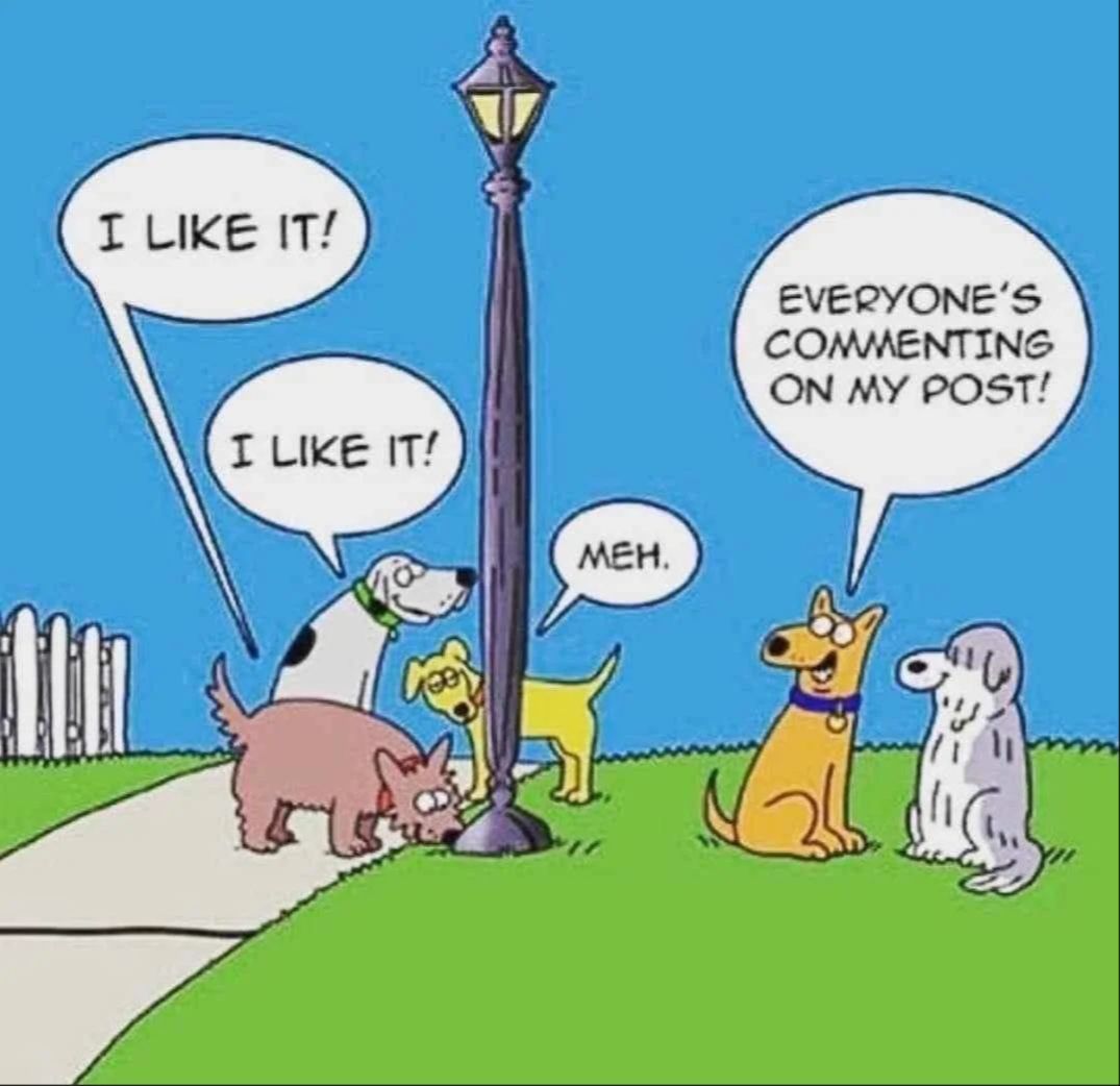 Who Let the Dogs Out?