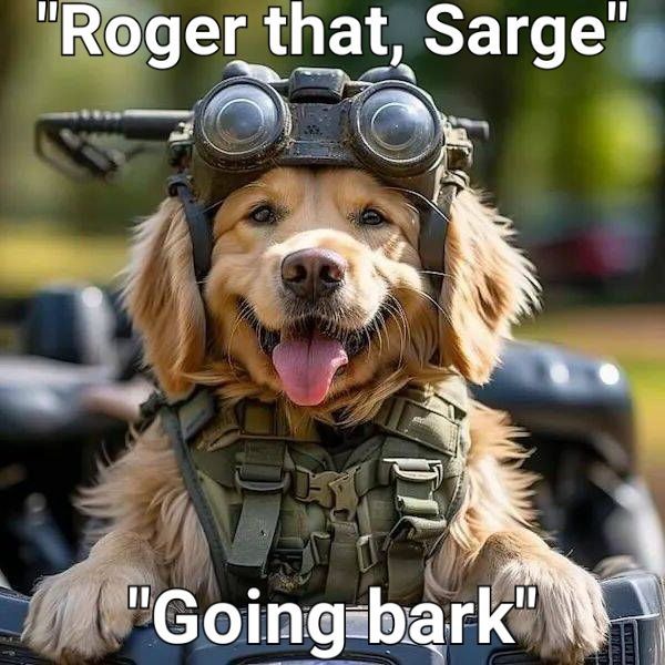 Who Let the Dogs Out?