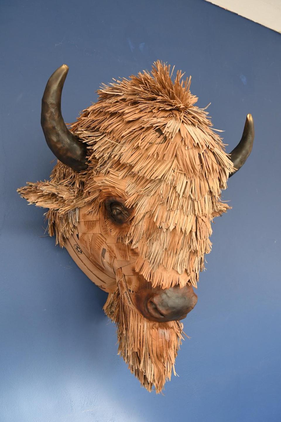 Cardboard BISON Art Head Awesome Build Photos from start to finish