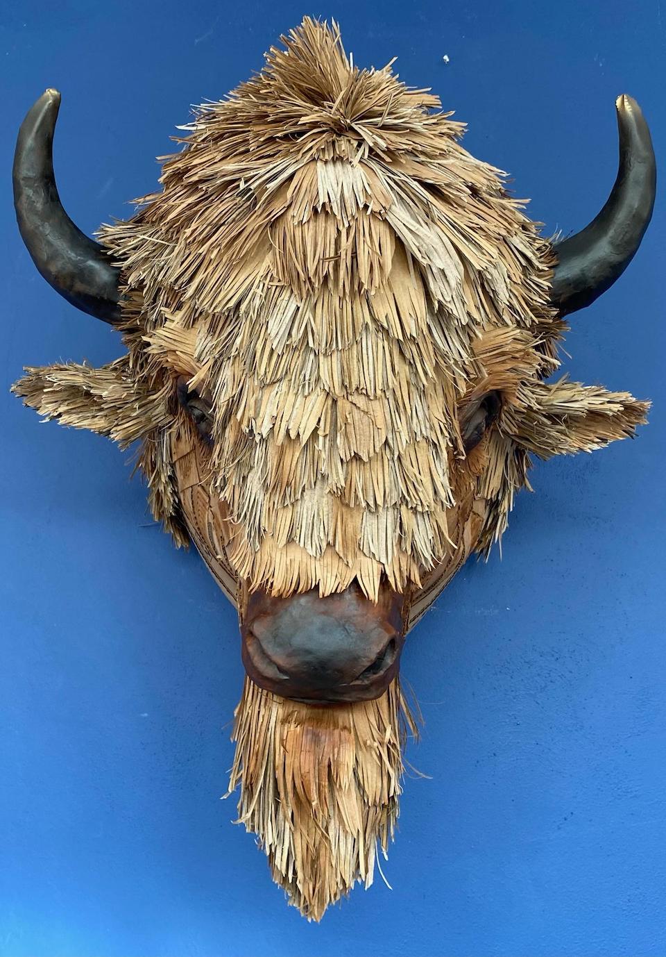 Cardboard BISON Art Head Awesome Build Photos from start to finish