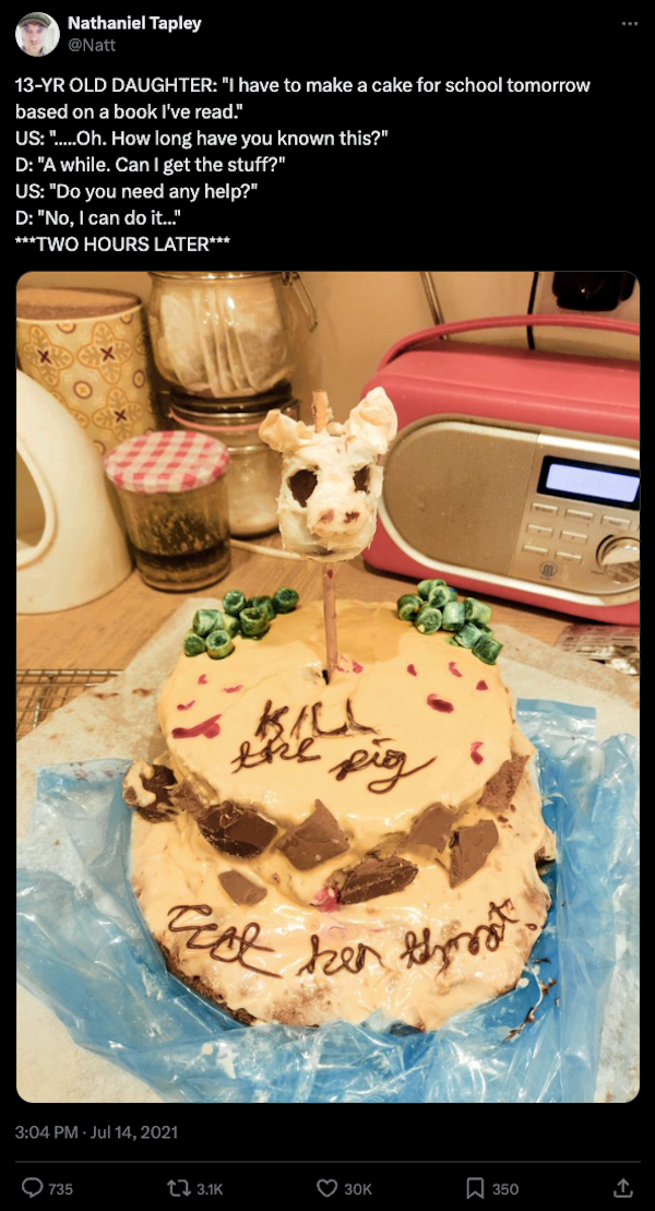 Chaotic cakes have us questioning the baker's sanity