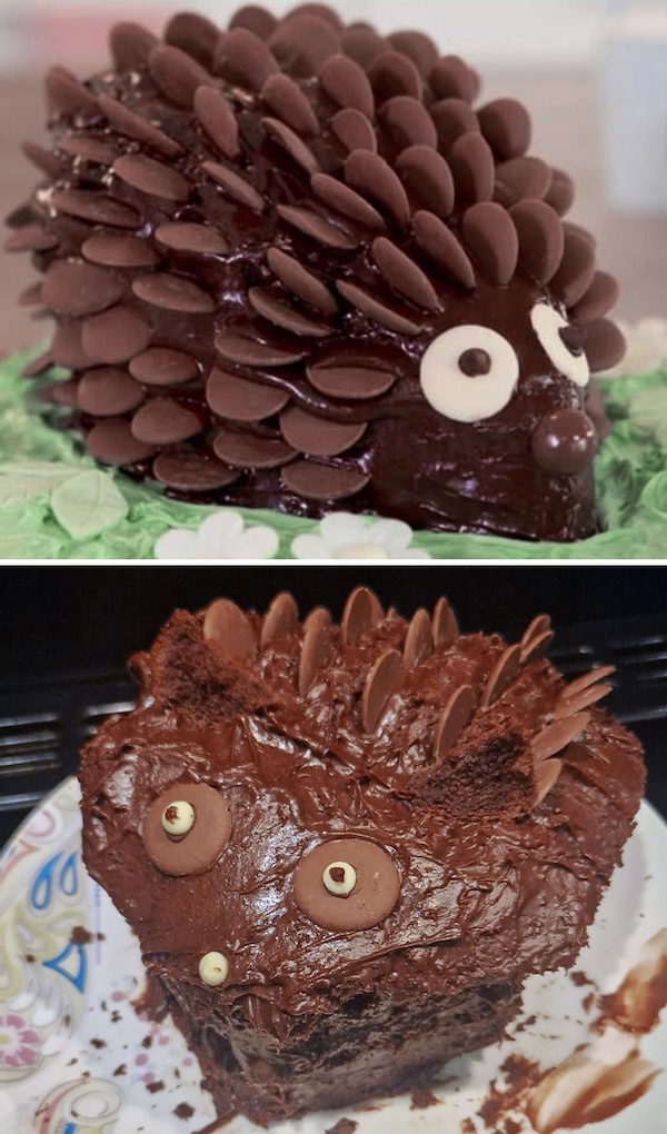 Chaotic cakes have us questioning the baker's sanity