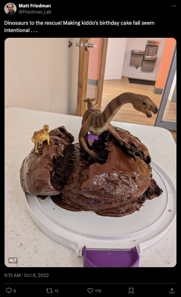 Chaotic cakes have us questioning the baker's sanity