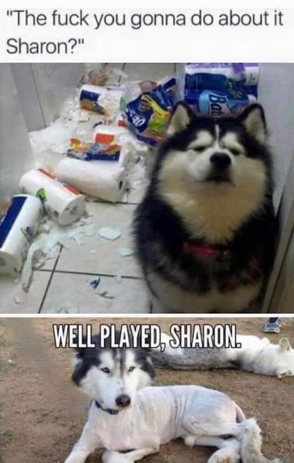 Cheesy Memes Funny Morning Stupid yet True Work Sucks Photo Captions