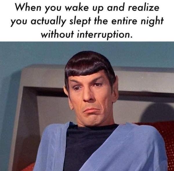 Cheesy Memes Funny Morning Work Sucks Photos New Best Captions 2024